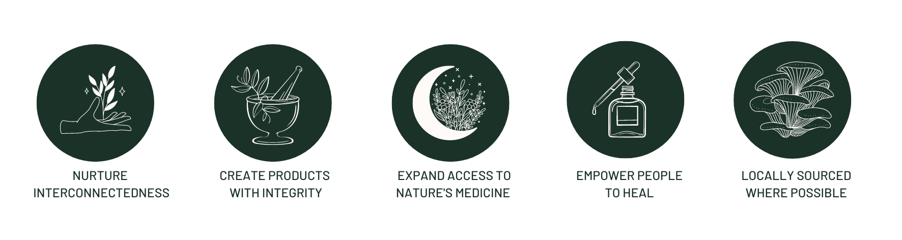Root & Spore – Root and Spore