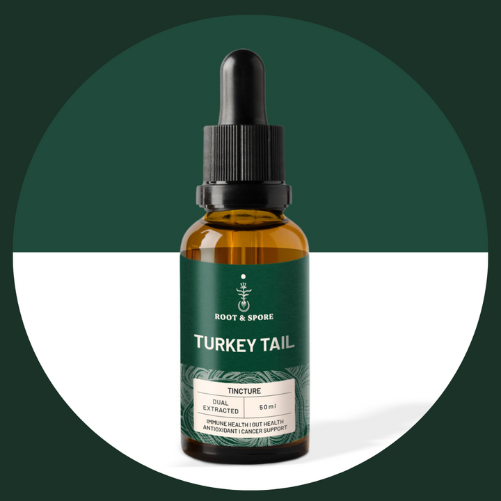 MUSHROOM TINCTURE RANGE – Root and Spore